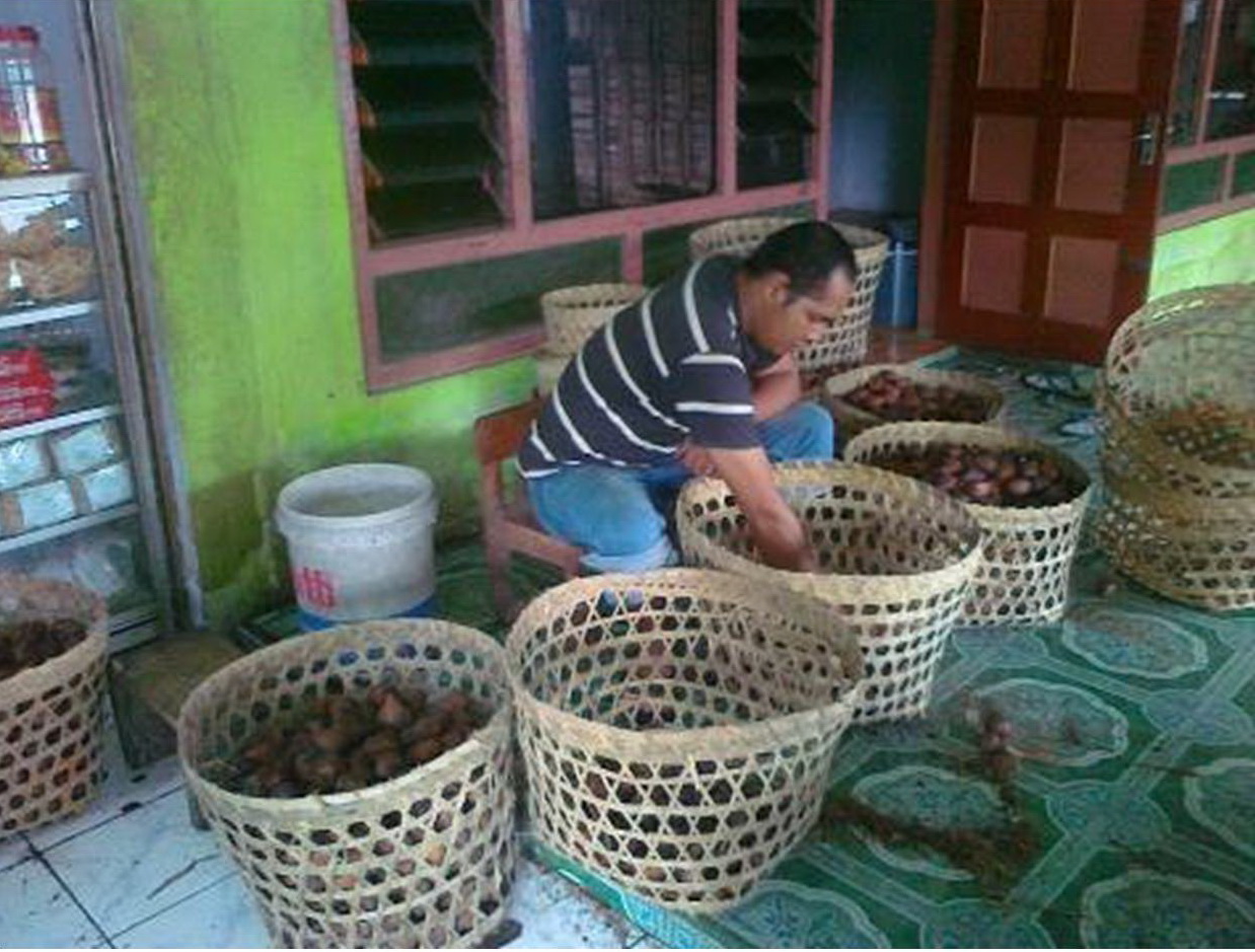RANTAI PEMASARAN SALAK DI KABUPATEN MAGELANG – FATKHIYAH ROHMAH – Kanal ...
